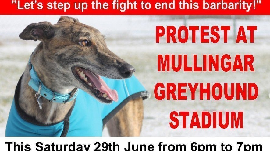Petition update · Protest at Mullingar greyhound stadium - this ...