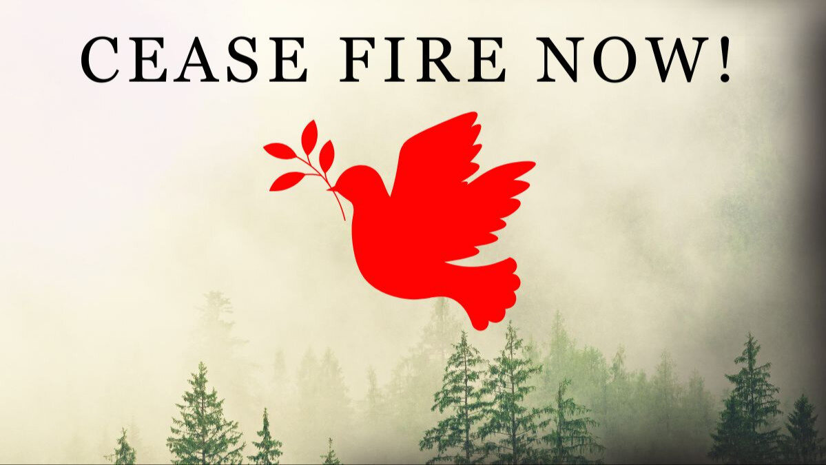 Petition · Ceasefire Now in Palestine! - United States · Change.org