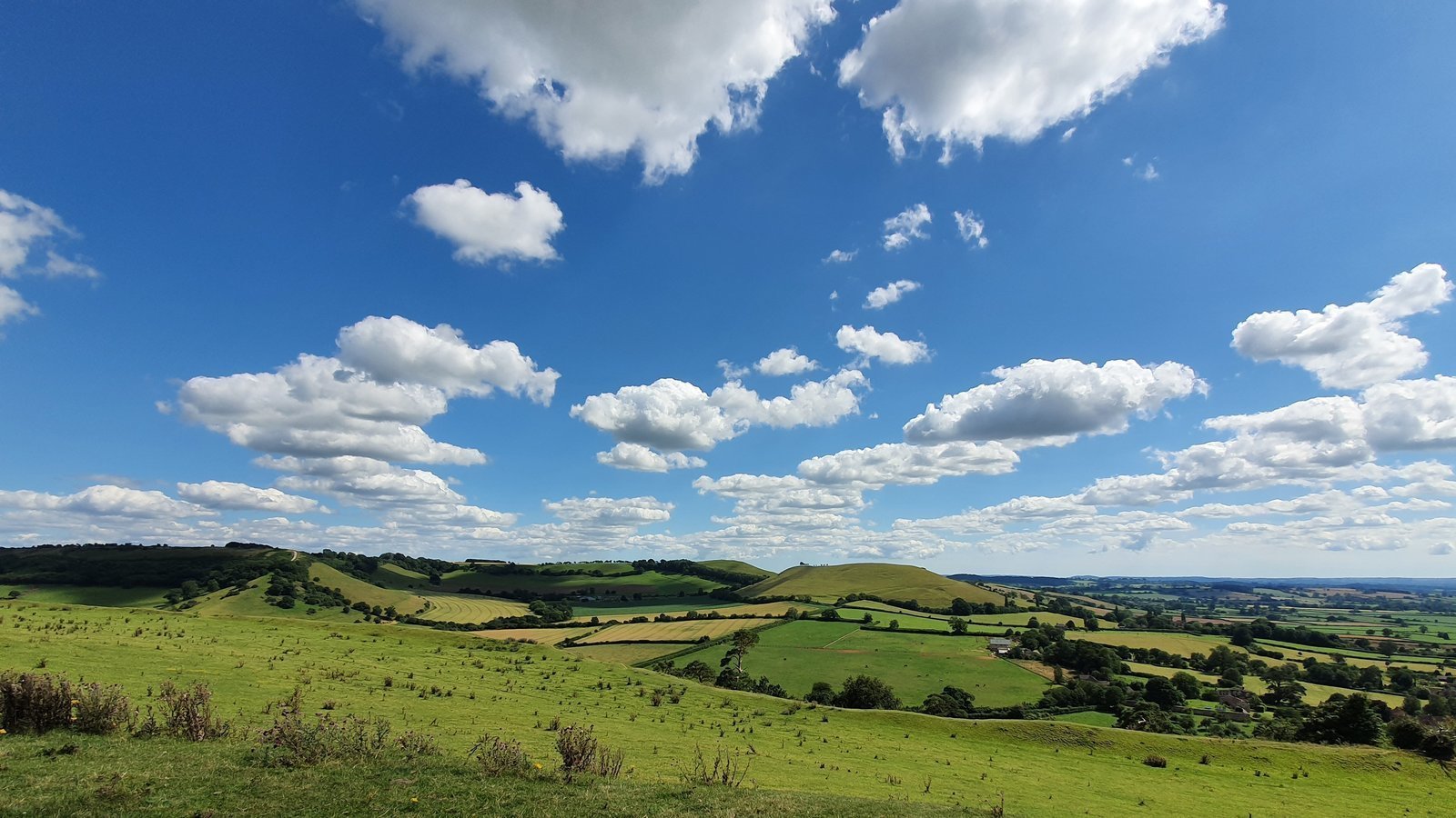 Petition · Leave the Moon and Mars alone. - United States · Change.org