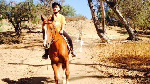 Petition · Support Elysian Park Stables Co-op - United States · Change.org