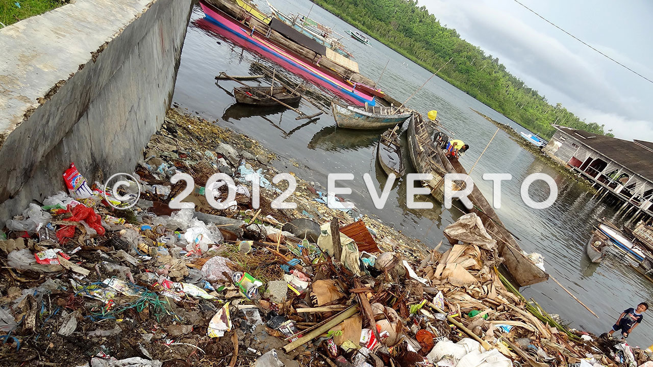 Petition · Put an end to sea-river-land littering: vote a law to forbid ...