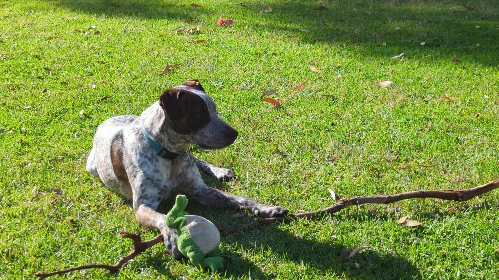 Petition · More benches for Edgar Griffith's park, Wanneroo - Australia ...