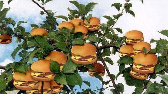 Petition · pressure scientists into making hamburger trees · Change.org