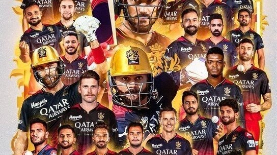 Petition · Ban RCB from IPL History - India · Change.org