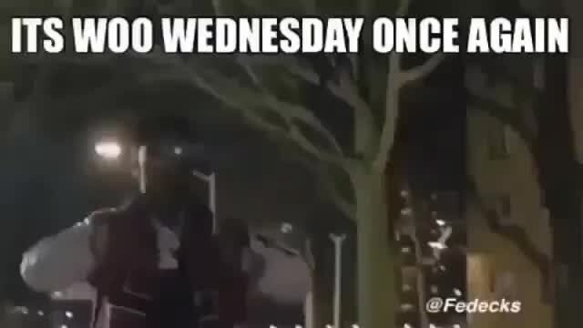 Petition · Make Woo Back Wednesday a National Holiday - United States ...