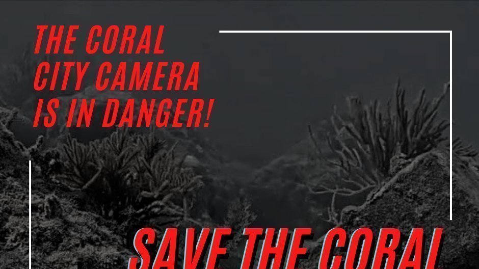 Petition · Save the Coral City Camera, Don't Allow Disney Cruises to ...