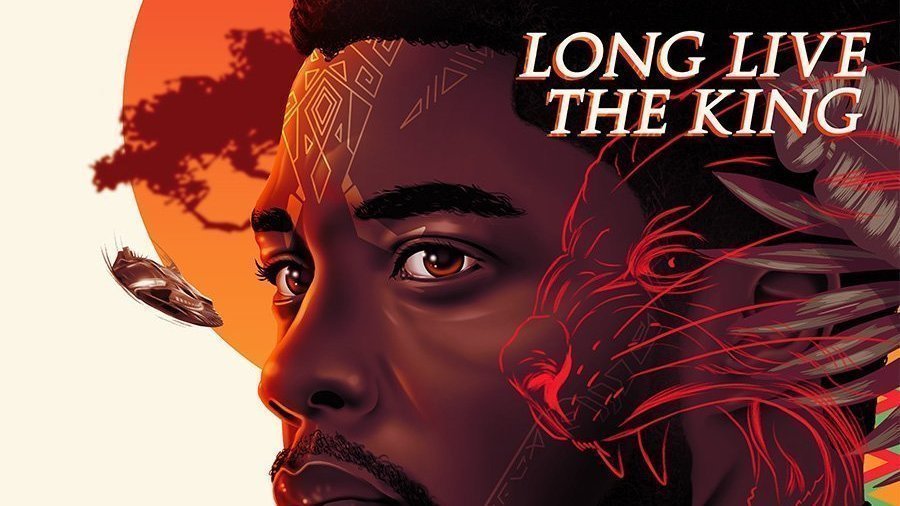 Petition · Recast T'Challa and *continue* the hero Chadwick gave for ...