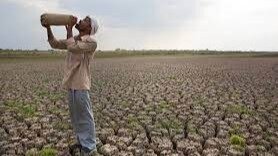 Petition · Ban Firecrackers, Save the Environment - India · Change.org