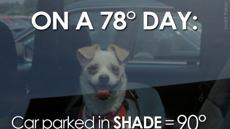 Petition · Change their policy of no overhead announcements in their ...