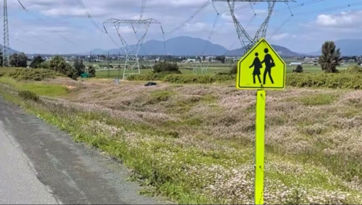 Petition · Implement 30km School Zone Speed Limit on Hack Brown Road ...