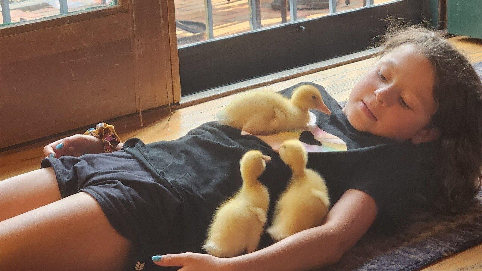 Petition · Save Sophie's Ducks! - Lone Tree, United States · Change.org