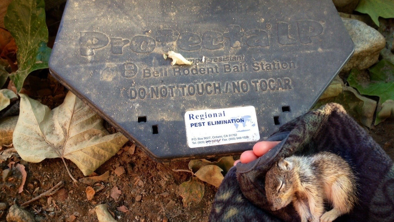 Petition · Remove All Rodenticides Now - United States · Change.org