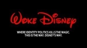 Petition · I will not spend my money at a WOKE DISNEY - United States ...