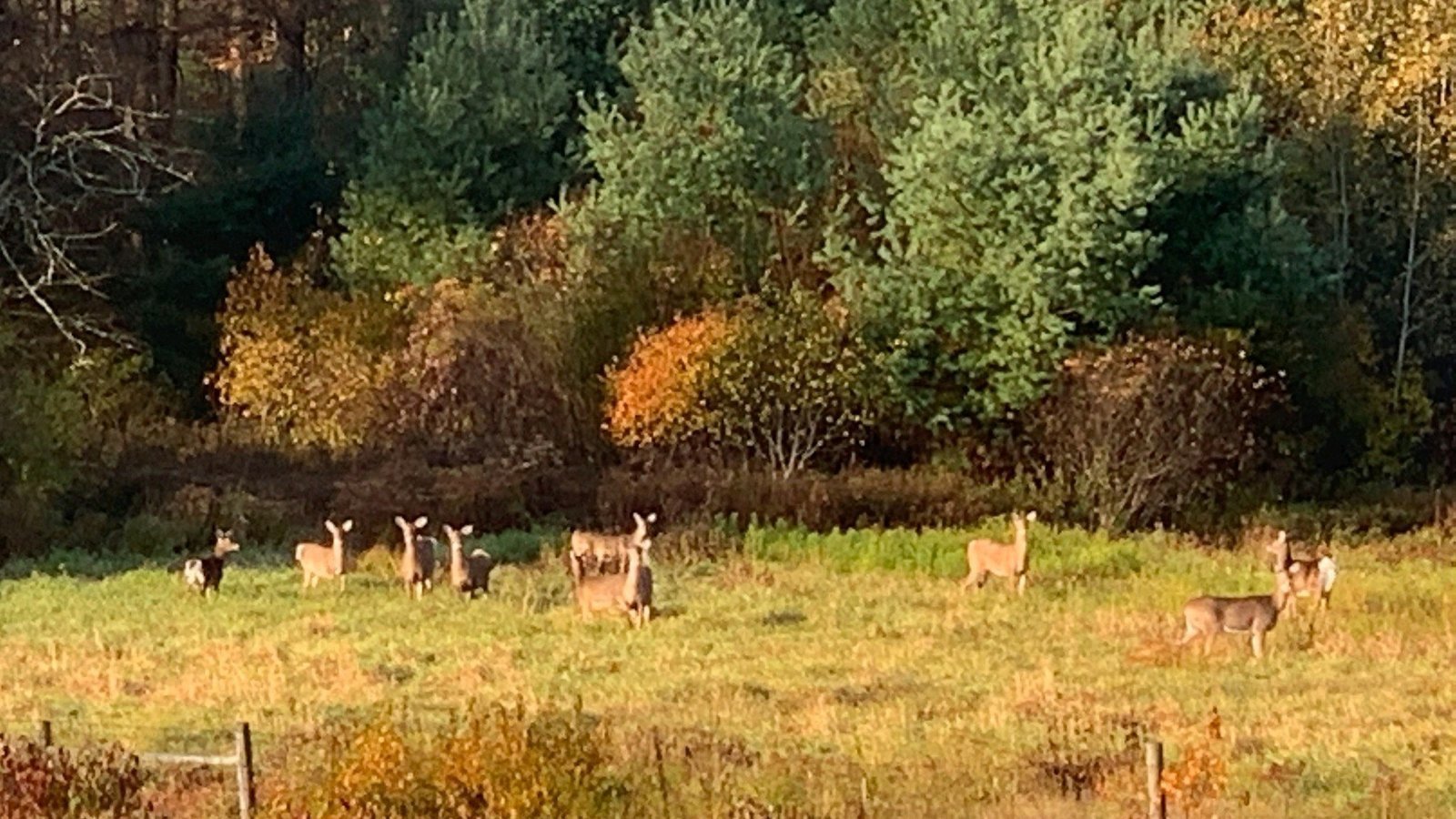 Petition · Save Groton Nature: Preserve Surrenden Farm Reserve Parcel ...