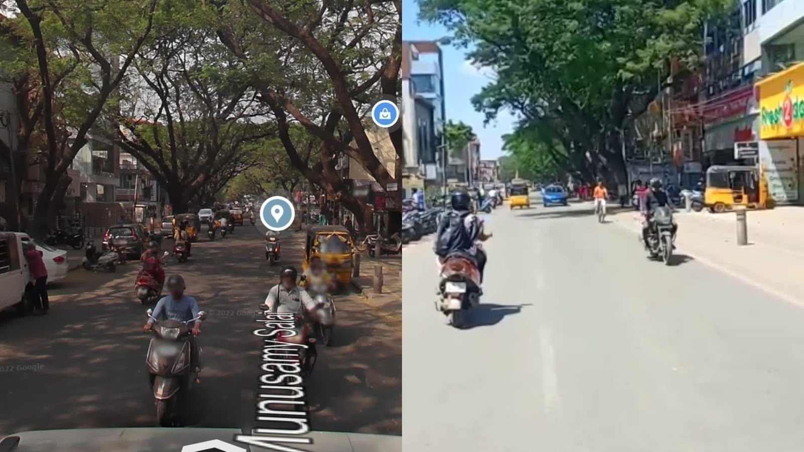 Petition · Give back our trees - India · Change.org