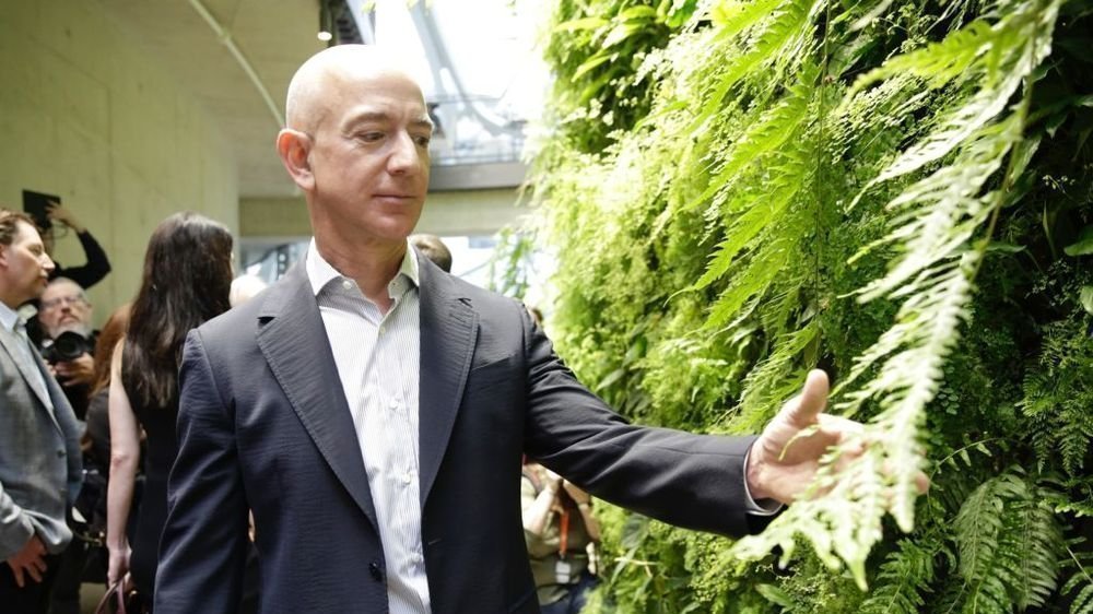 Petition · Force Jeff Bezos to plant 1 billion trees - Australia ...