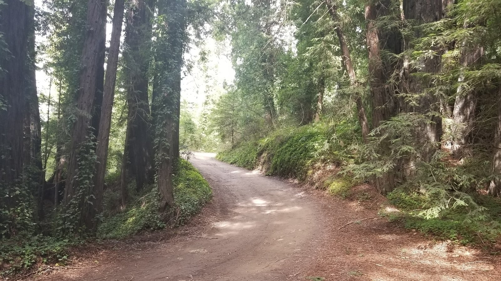 Petition · Save Big Sur's Apple Pie Ridge for residential and visitor ...