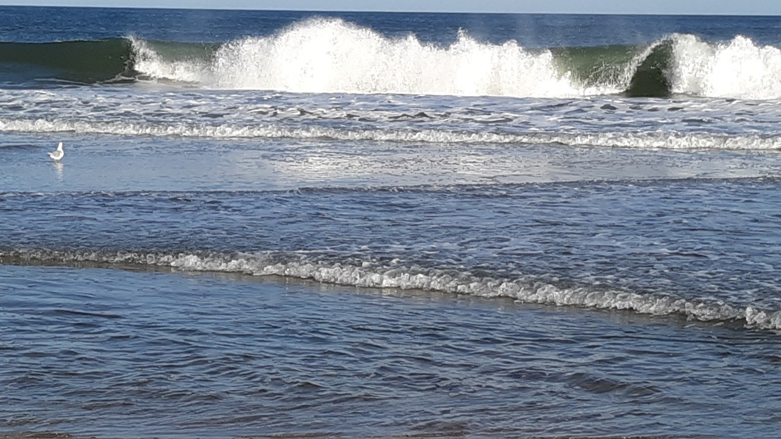 Petition · Make New Jersey Beaches Free - United States · Change.org