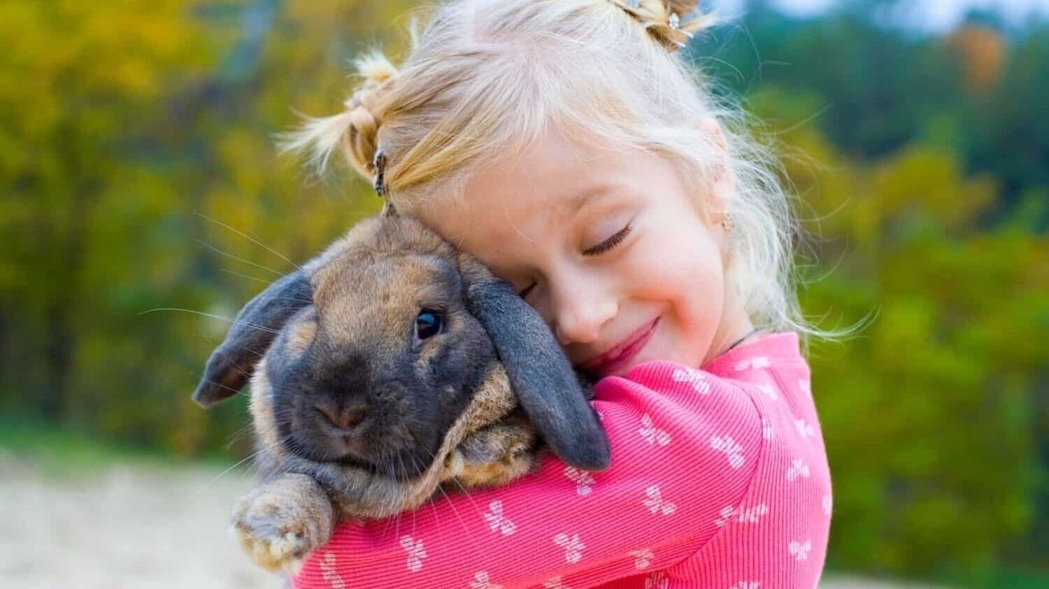 Petition · End the Sales of Domestic Rabbit Parts on Etsy - United ...