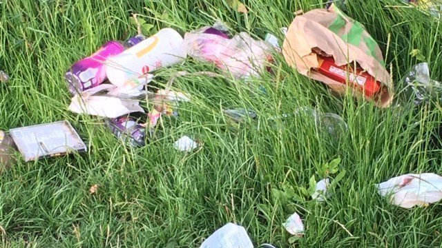 Petition · Help put a stop to littering from takeaway food - United ...