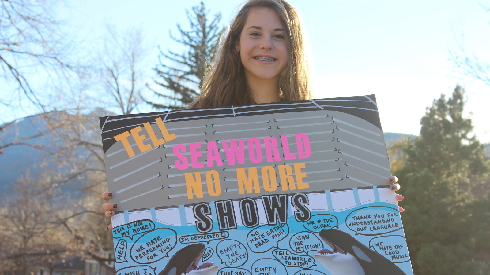 Petition · SeaWorld: Alle Orka-Shows beenden! - United States · Change.org
