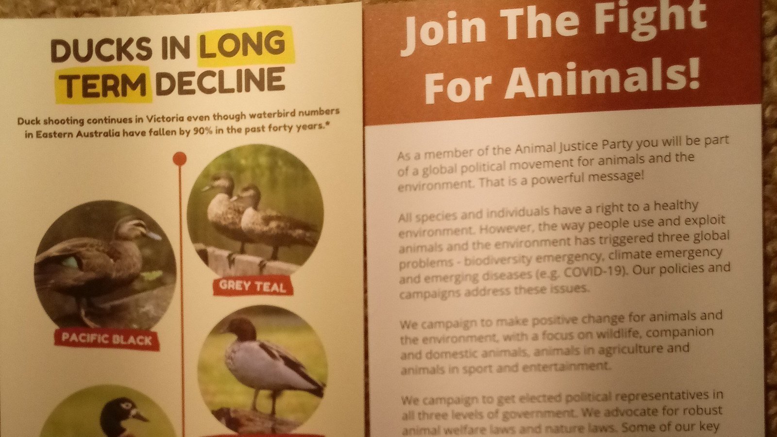 Petition · Ethics, Government permits to Cruelty, Abuse & Bullying ...