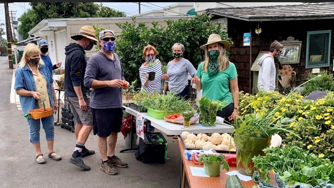 Petition update · Help Save the Garden! · Change.org · Change.org