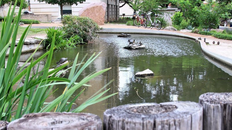 Petition · Protect the University of Texas Turtle Pond · Change.org