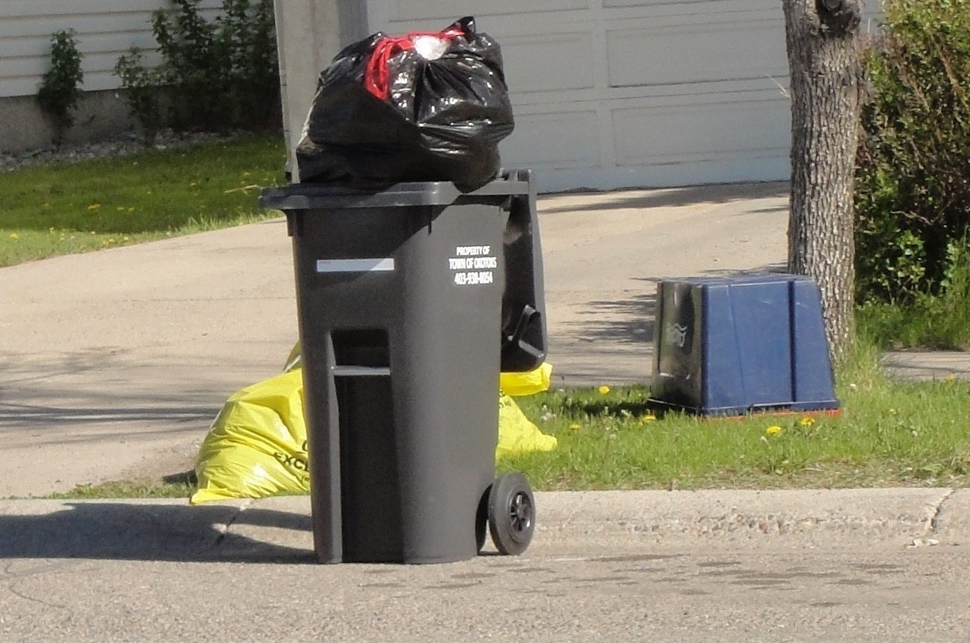 Petition · Recognize/remediate the problem with new inadequate garbage ...