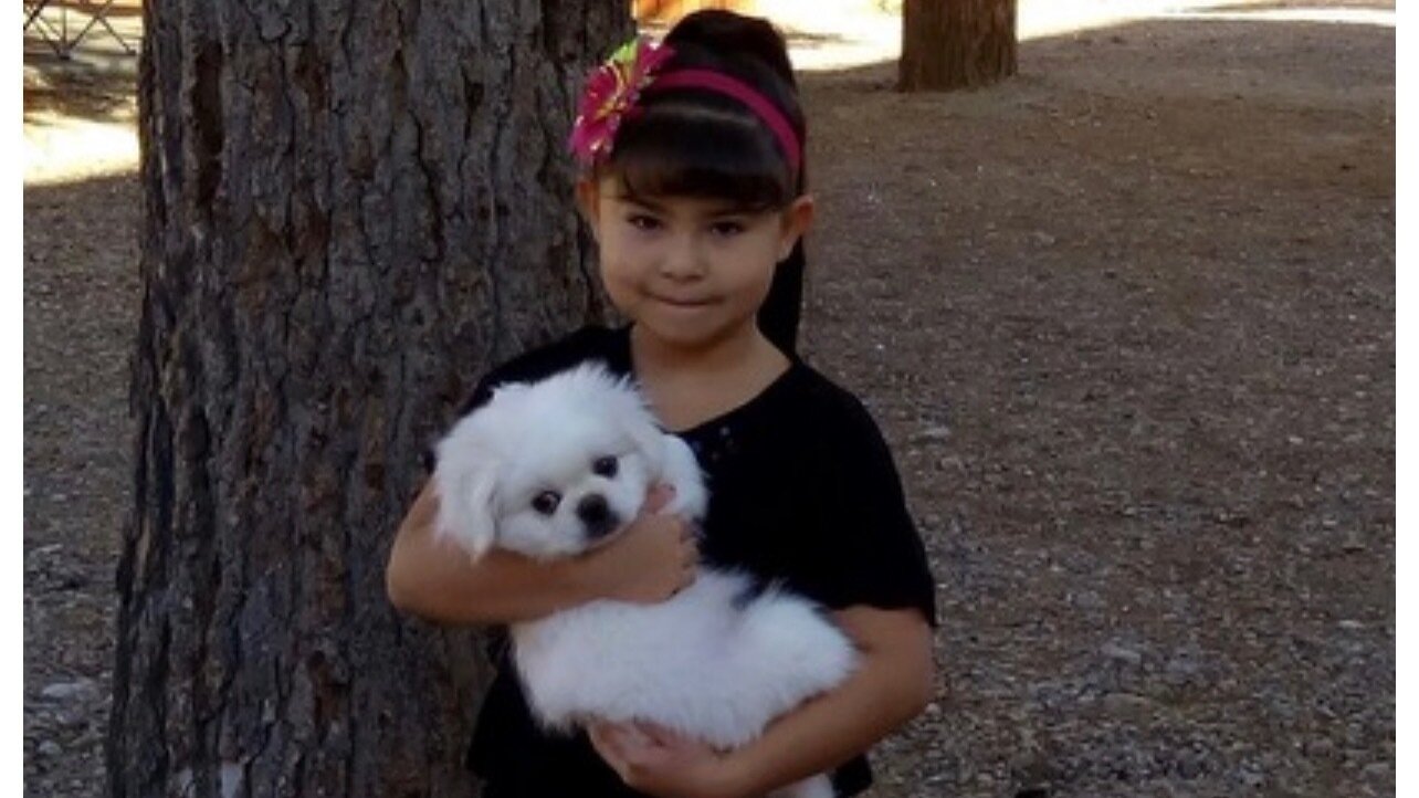 Petition · Demand AARF Animal Angels Rescue Foundation to Return our ...