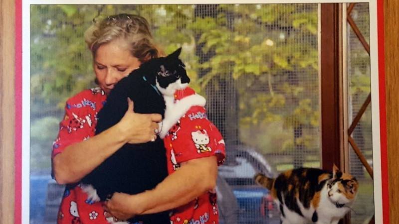 Petition · Return Caroline's Kids Seized Kitty Cats - United States ...