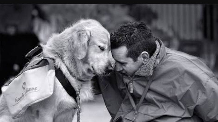 Petition · It is inhuman to steal dogs and kill them for their meat pls ...