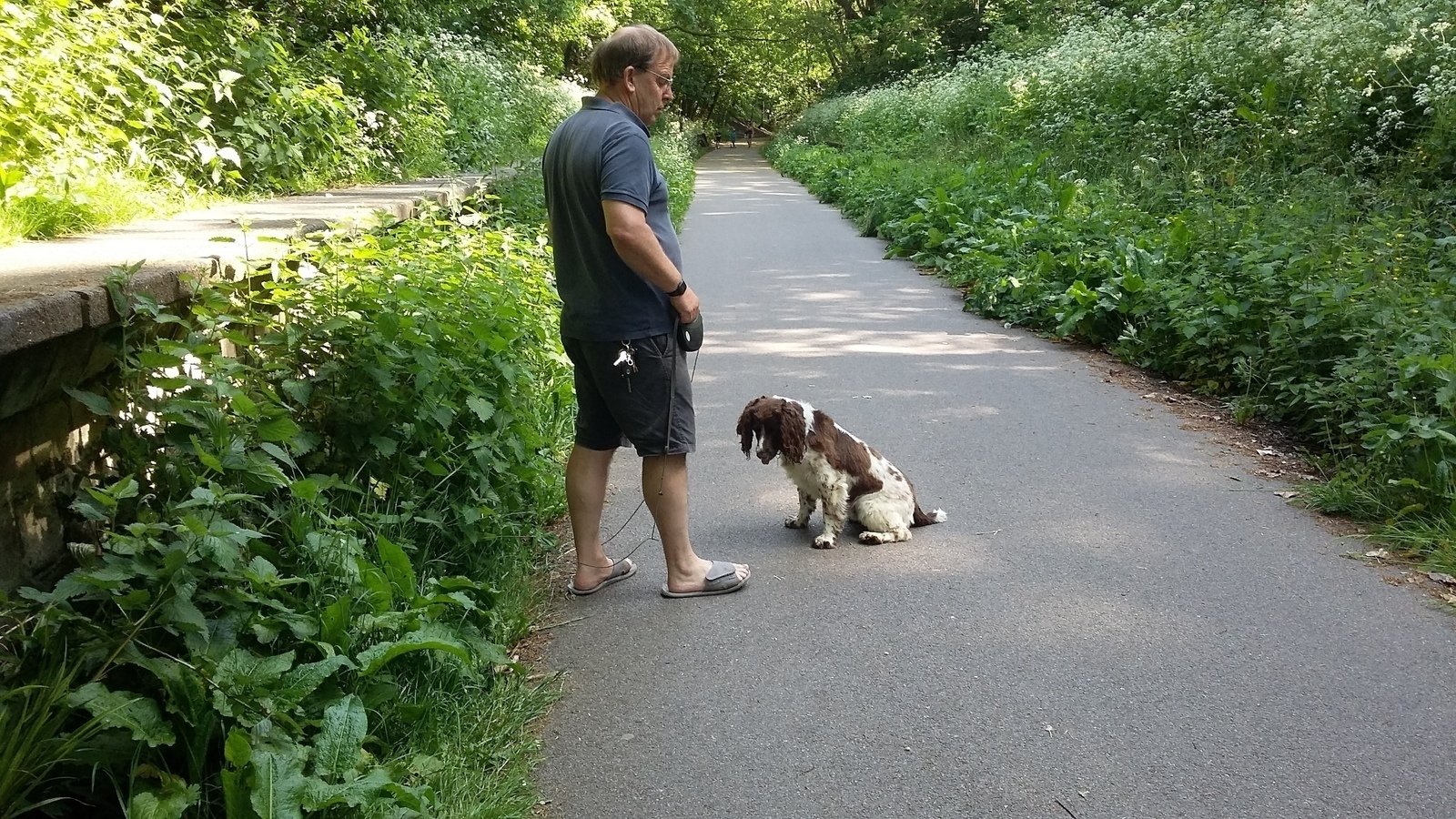 Petition · Rodwell Trail for all - United Kingdom · Change.org