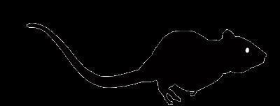 Petition · ban ixl day tuesday - United States · Change.org