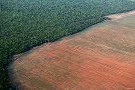 Petition · Help our Amazon Forest - United States · Change.org