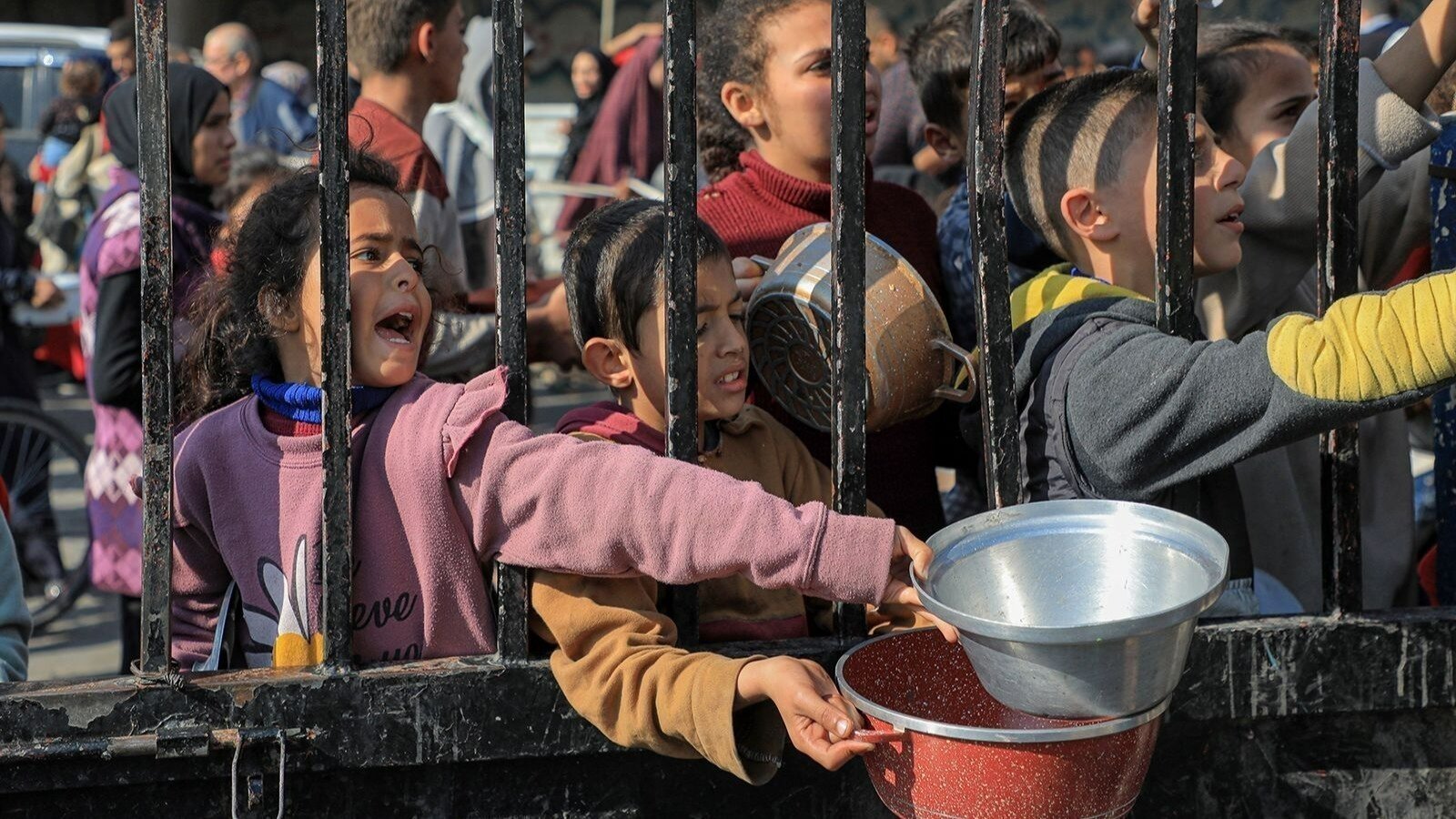 Petition · Emergency Appeal: Open Rafah Border to Allow Critical ...