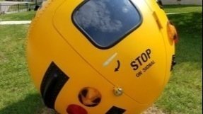 Petition · Request UVM Bring Back the Bus Ball! - United States ...