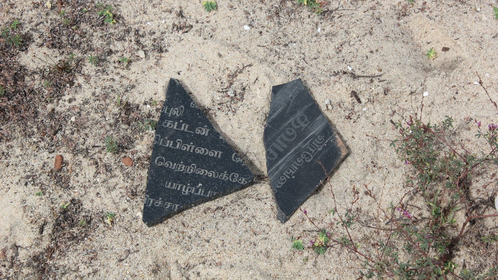 Petition · Tamil Genocide Recognition and Criminal Justice for all ...