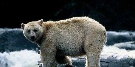 Petition · Steve Thomson - BC Minister of Forests, Lands & Nat ...