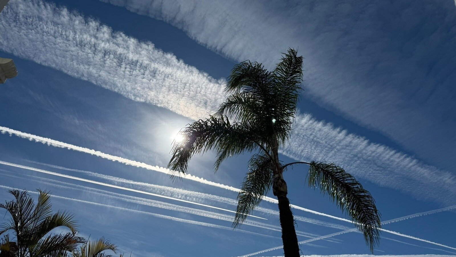Petition · Terminate All Stratospheric Aerosol Geo-Engineering Programs ...
