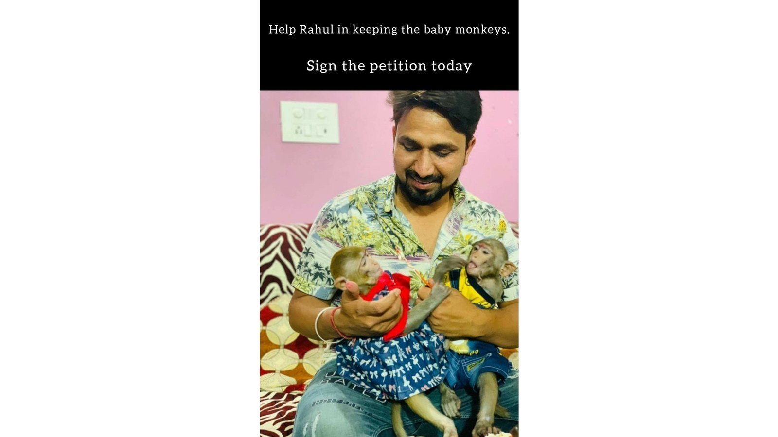 Petition · Help Rahul Singla protect baby monkeys from being taken by ...