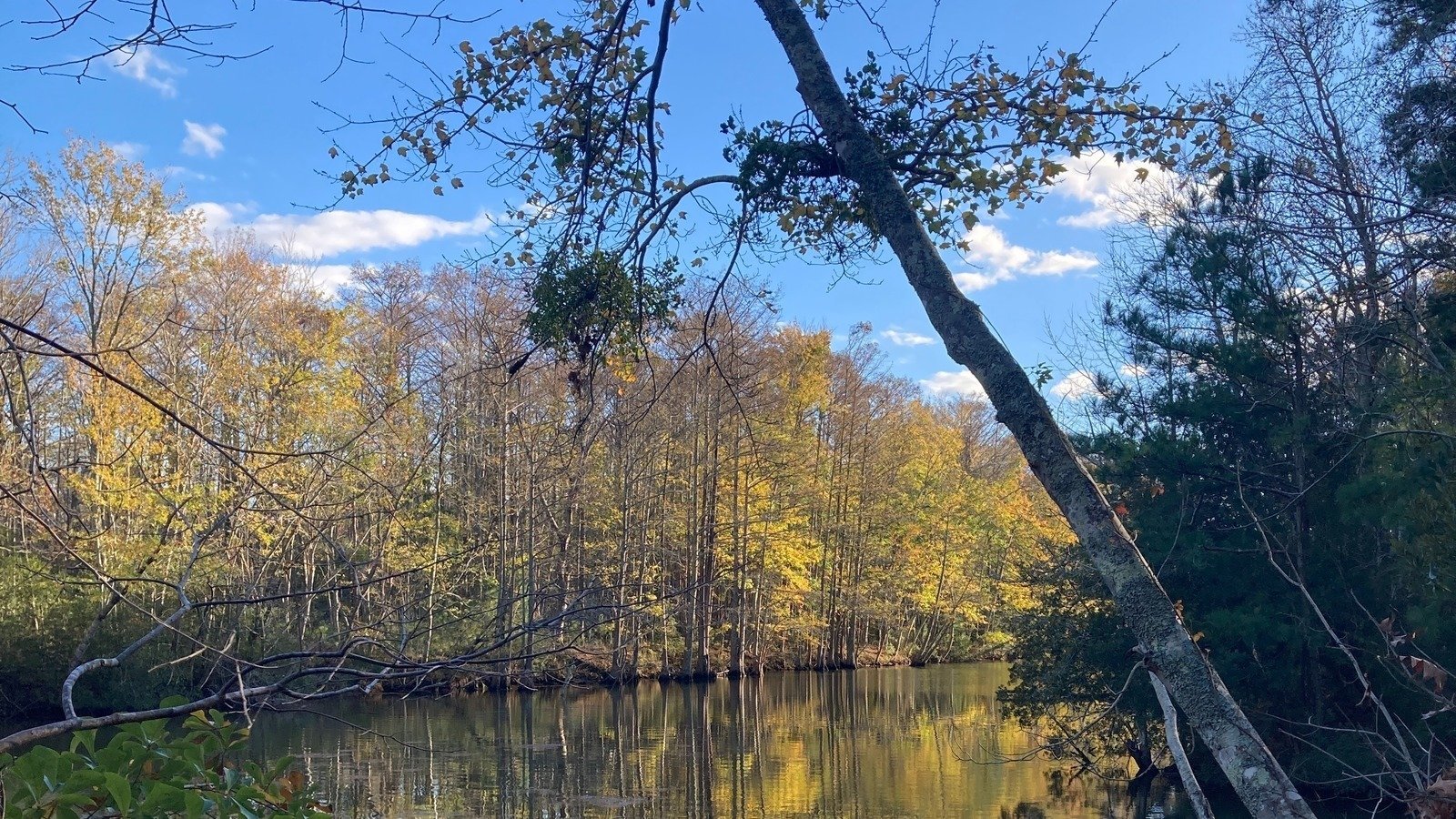 Petition · Stop Nimmo Parkway Phase 7-B - Virginia Beach, United States ...