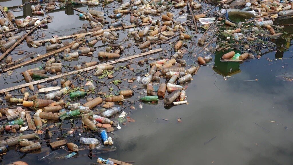 Petition · AquaFighters: Sustainable Approach Combating Water Pollution ...