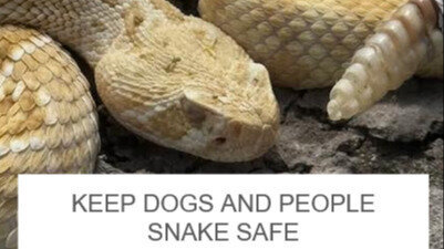 Petition · HELP DOGS AND PEOPLE STAY SNAKE SAFE! REPTILE SAFETY AT RISK ...