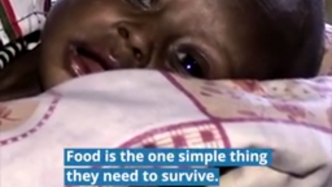 Pétition · PAM/ WFP: Retirez ce clip indigne/ Remove this undignifying ...