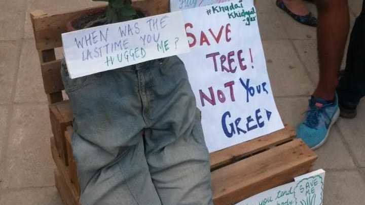 Petition · Stop cutting of trees · Change.org