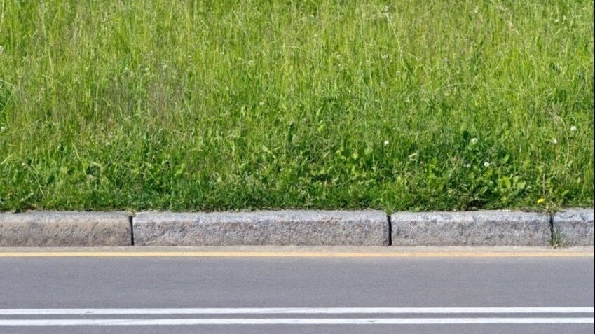 Petition · Bring Grass Back to Our Roads - Bristol, United Kingdom ...