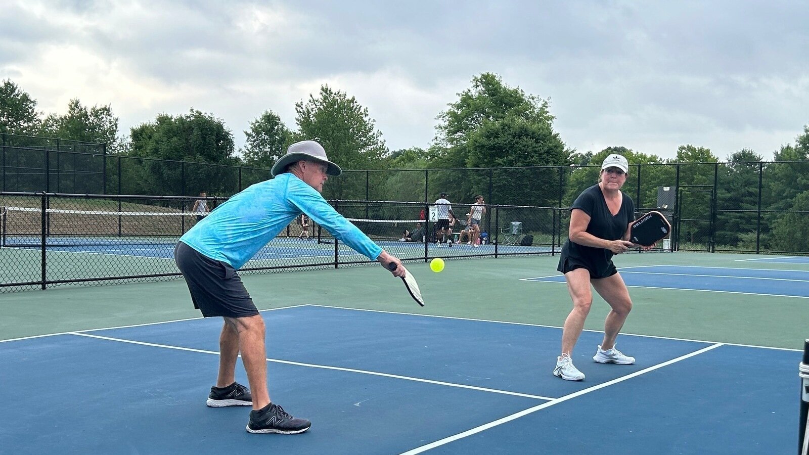 Petition · Install Wind Screens on Pickleball Courts at Palmer Park ...