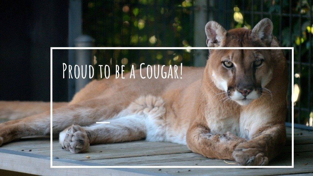 Petition · Make BEATS Stay! - United States · Change.org