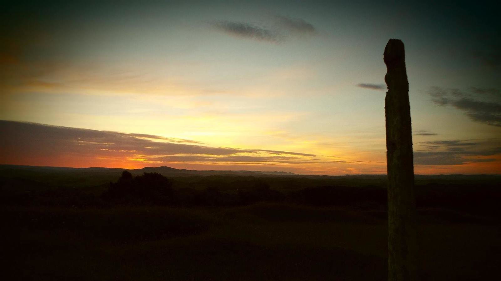 Petition · NO TRUST or CONFIDENCE in Te Runanga a Iwi o Ngapuhi and ...